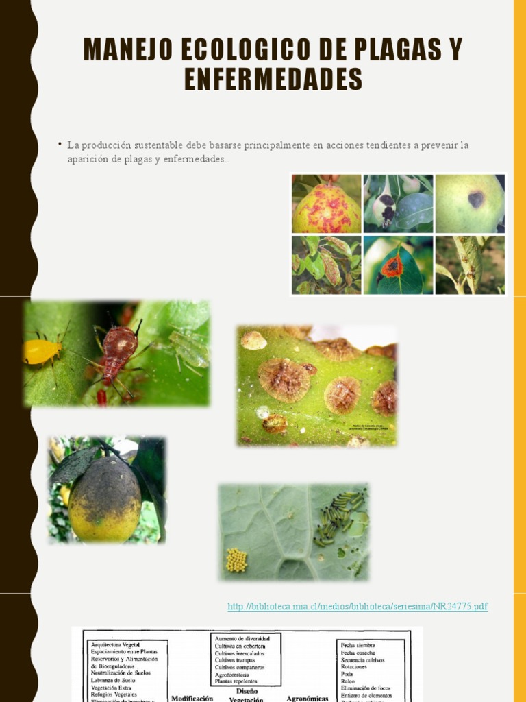 Manejo Ecológico de Plagas y Enfermedades | PDF | Control biológico de ...
