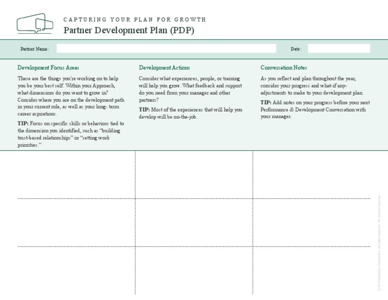 Store Action Plan (PDP) | PDF