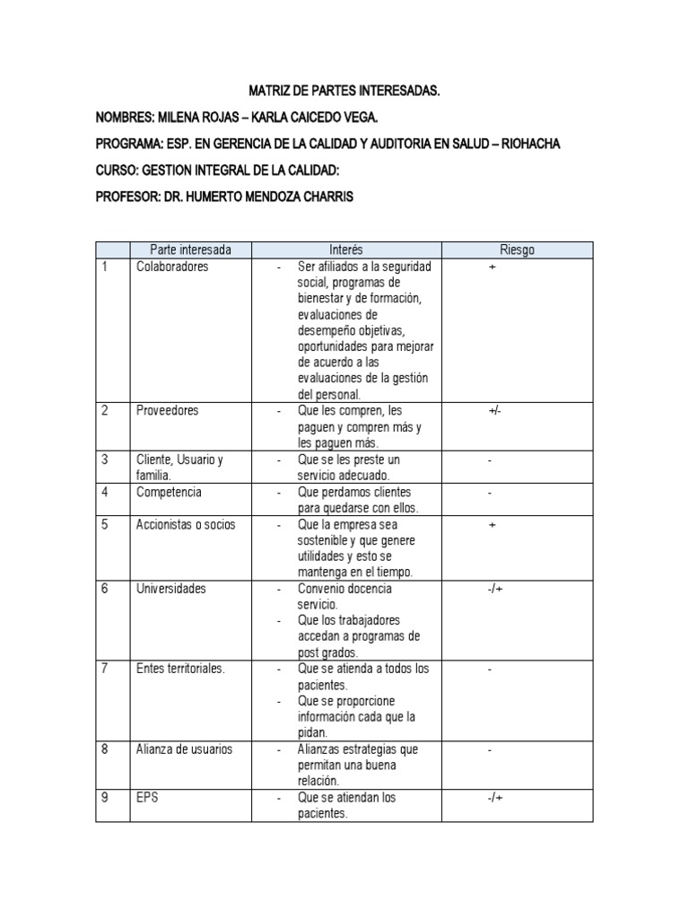 Matriz de Partes Interesadas en Salud | PDF