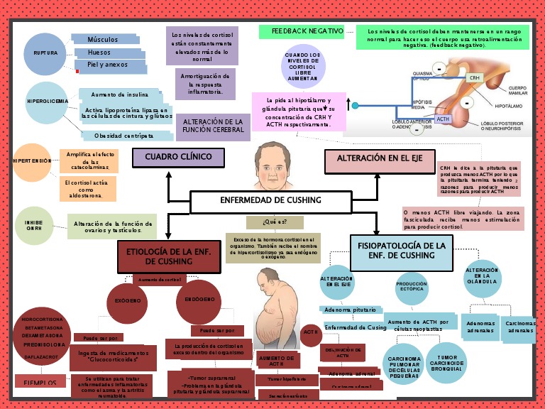Sindrome de Cushing | PDF | Hormona adrenocorticotrópica | Cortisol