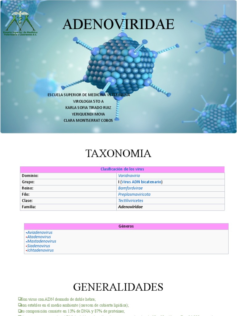 ADENOVIRIDAE | PDF | Adenoviridae | Especialidades Medicas