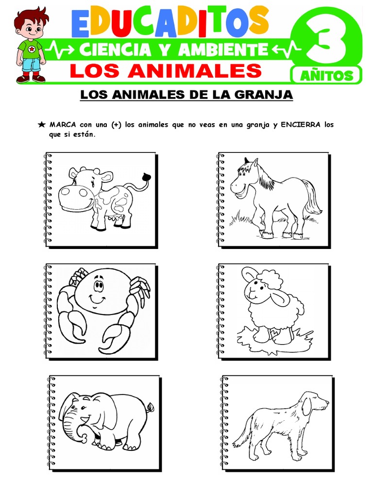 Actividades de Animales para Niños | PDF | Organismos | Animales ...