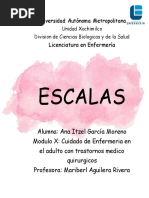 Escala BPS | PDF
