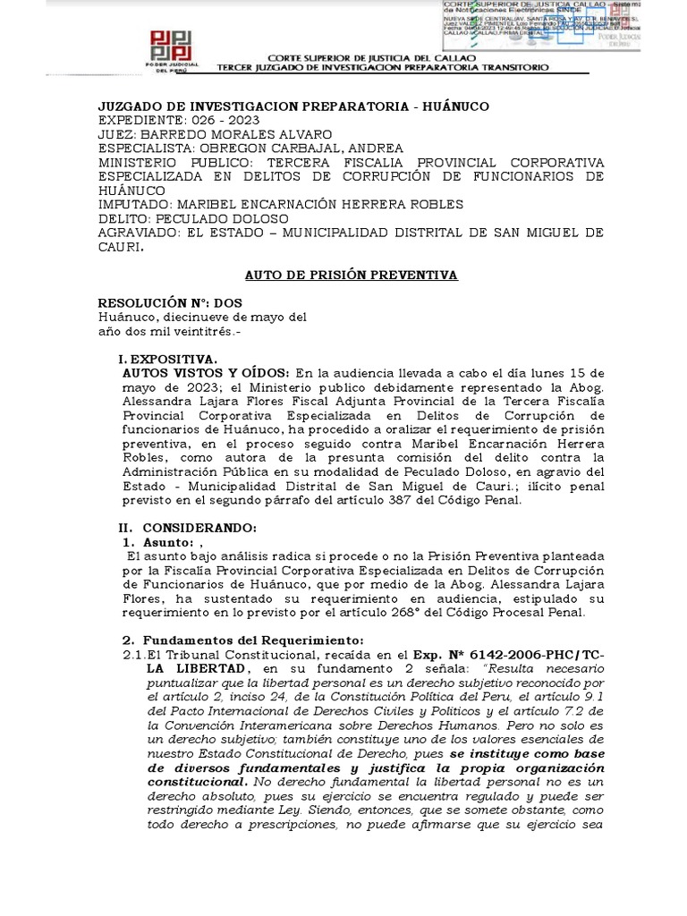 Auto de Rision Preventiva1 | PDF | Castigos | Justicia penal