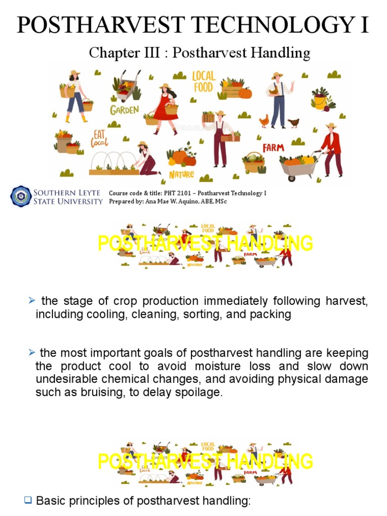 Lecture 3 (Postharvest Handling) | PDF | Packaging And Labeling | Heat ... Lecture 3 (Postharvest Handling) | PDF | Packaging And Labeling | Heat ...