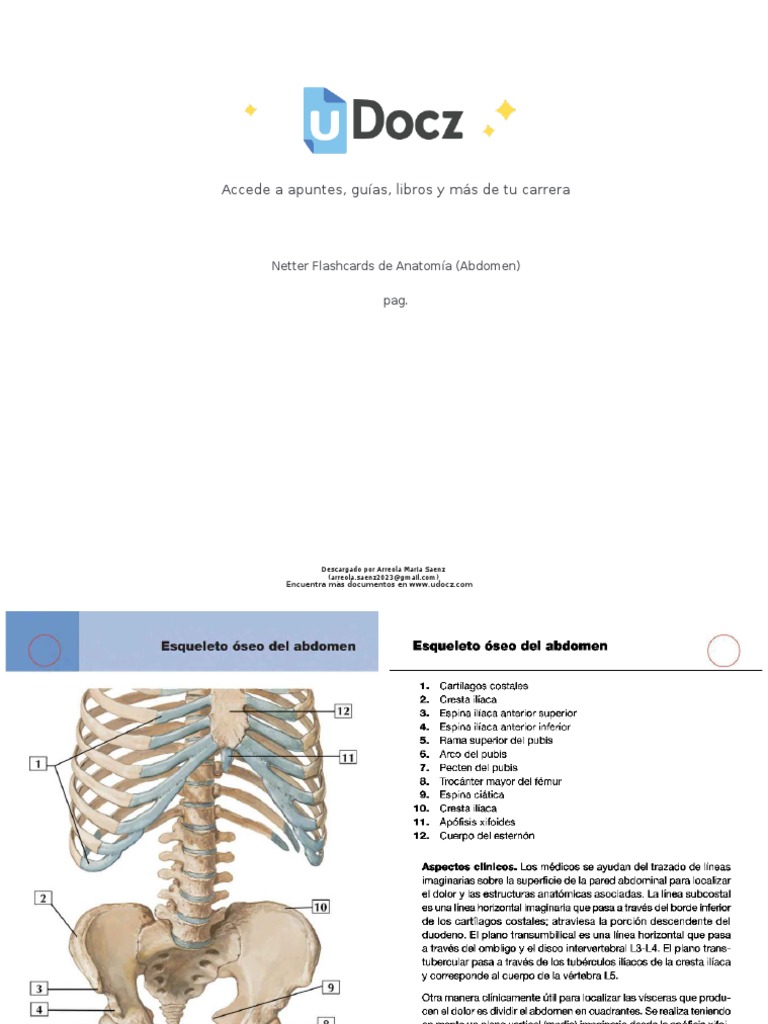 Netter Flashcards | PDF