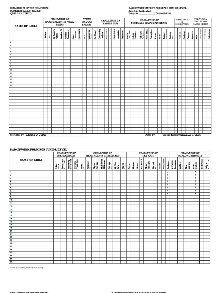 Badgework Forms | PDF