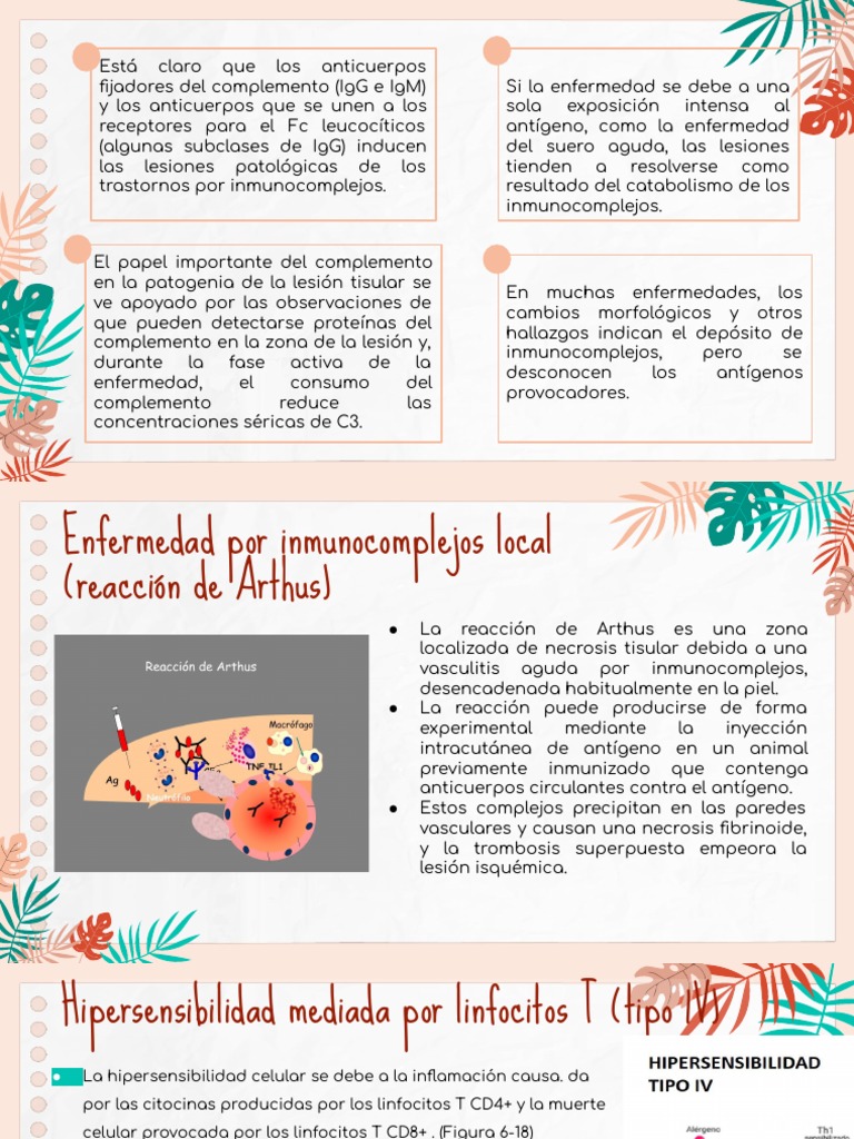 Lesiones por Inmunocomplejos y Linfocitos T | PDF | Célula T ...