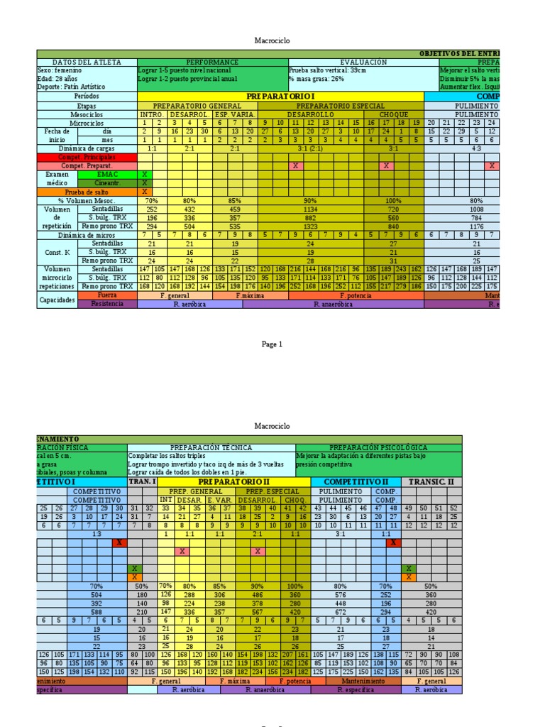 Final Macro P Impr | PDF