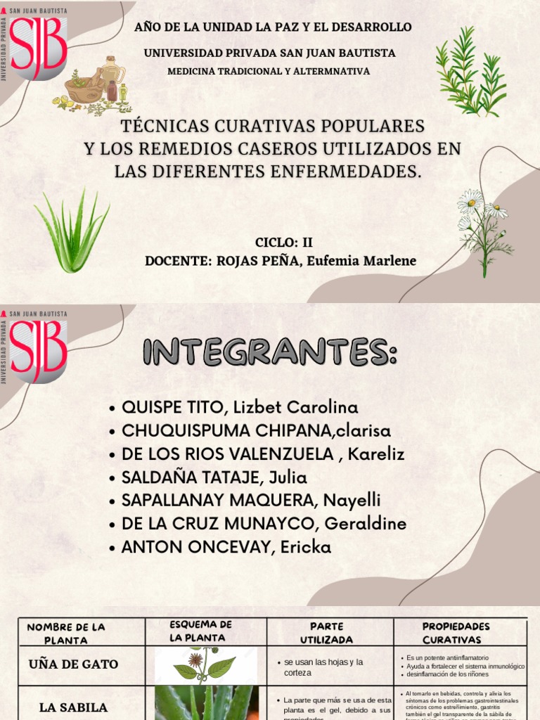 Plantas Medicinales Pdf Pdf Indigestión Bronquitis