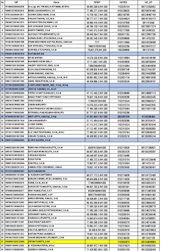 Data Pegawai Norek & NPWP | PDF