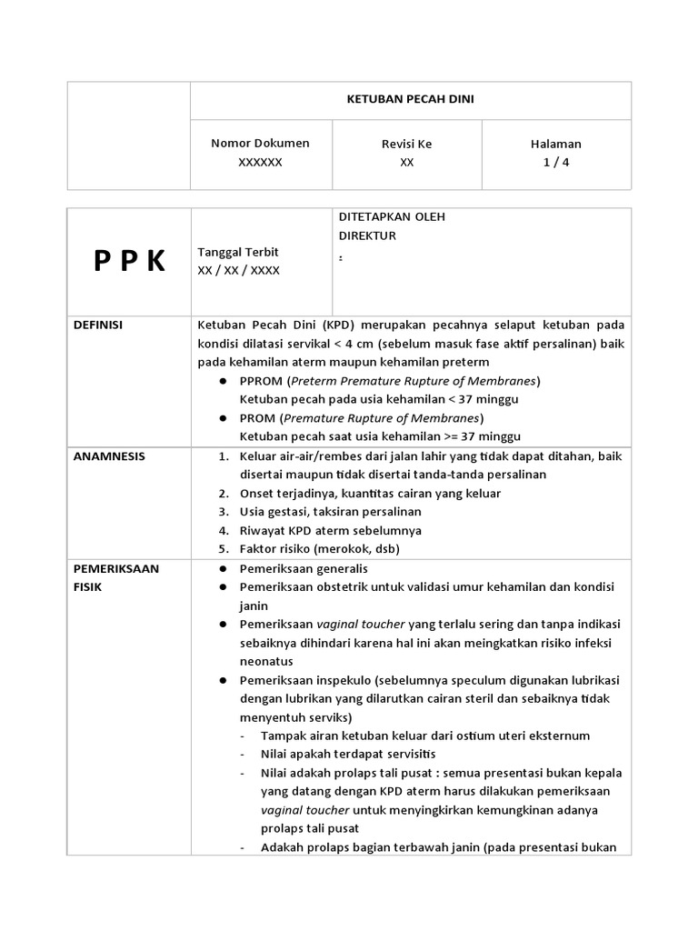 PPK Ketuban Pecah Dini | PDF