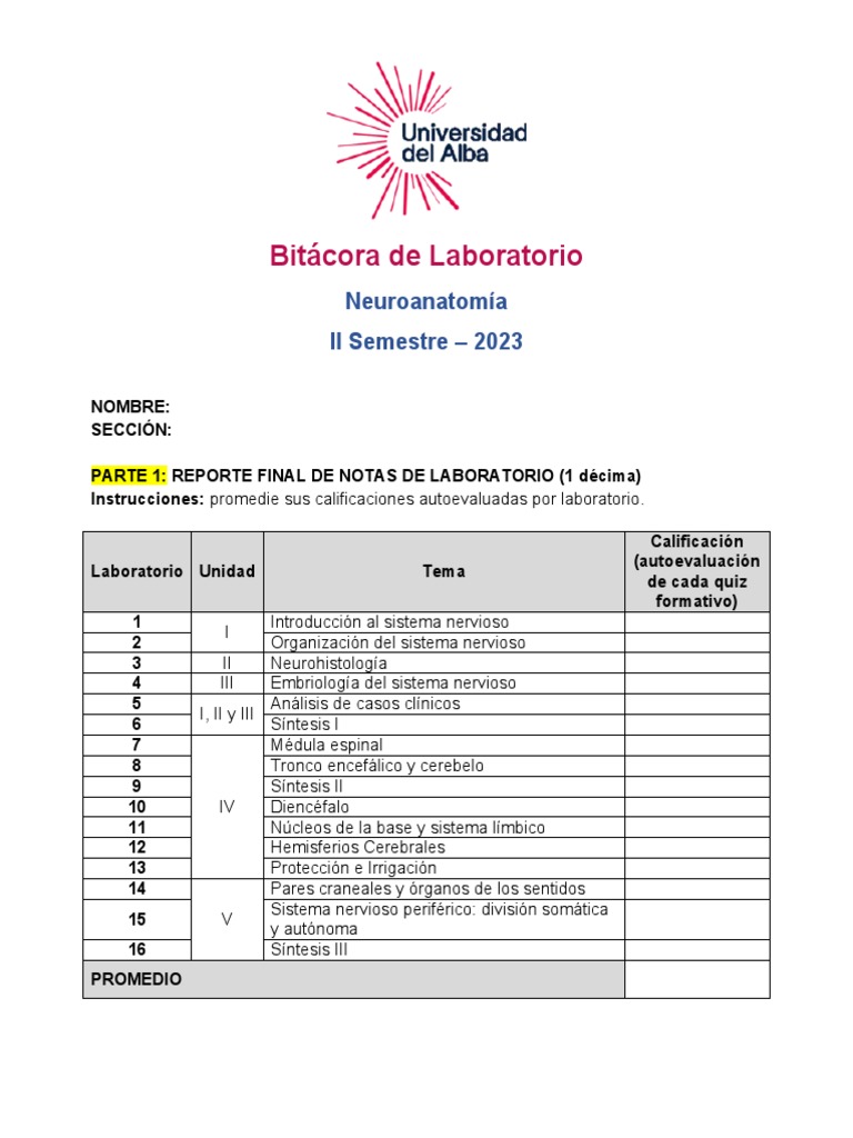 Bitácora de Laboratorio - NEUROANATOMÍA - 2023 | PDF | Sistema nervioso ...