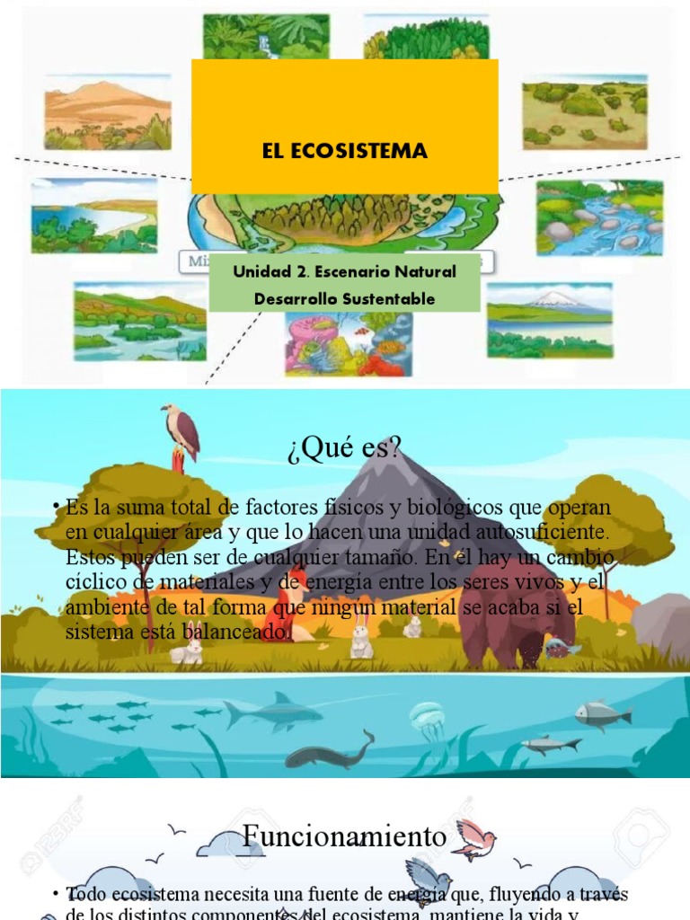 El Ecosistema | PDF | Ecosistema | Suelo