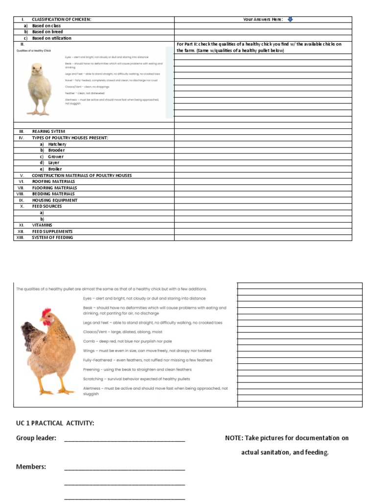 Raise Organic Chicken Activity | PDF