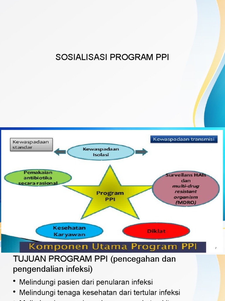 Power Point Program Ppi | PDF
