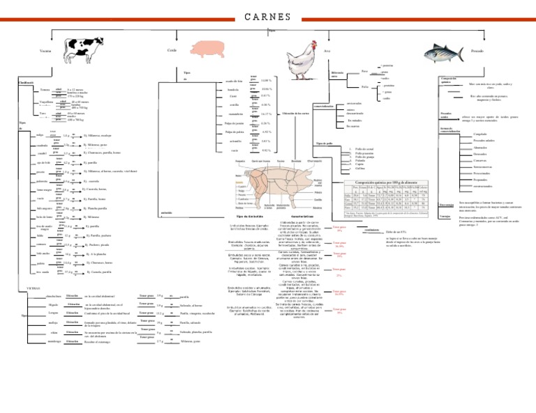 TP de Carne | PDF | Carne | Alimentos