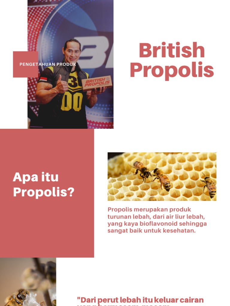 Brosur British Propolis | PDF