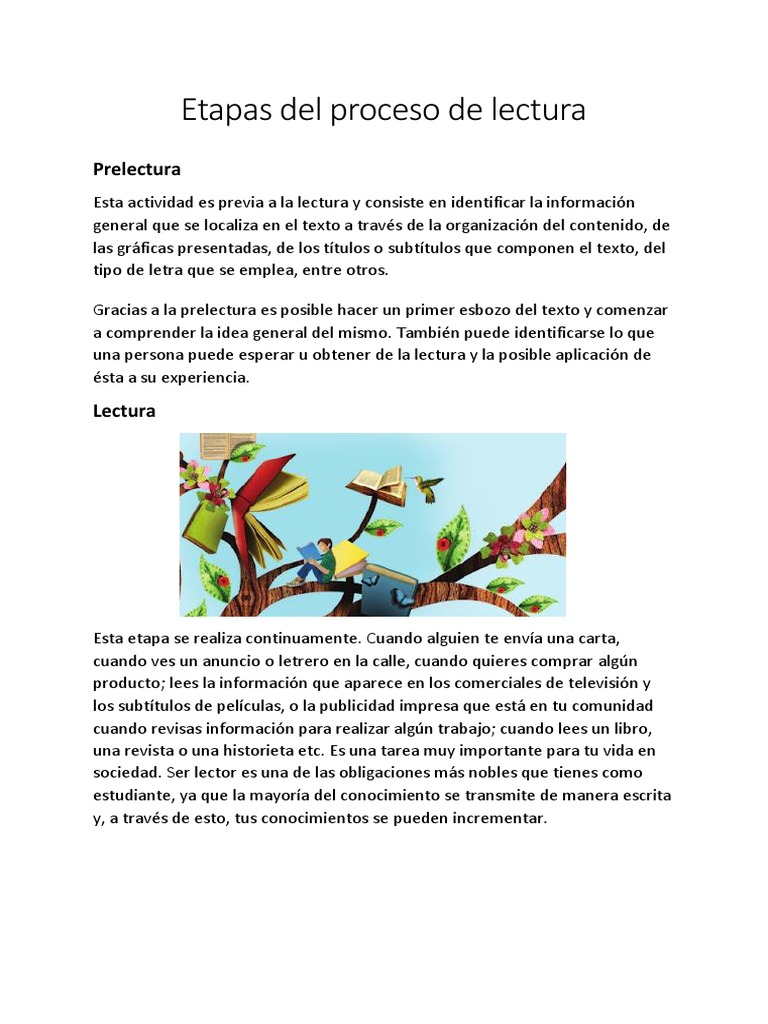 Etapas del Proceso de Lectura | PDF