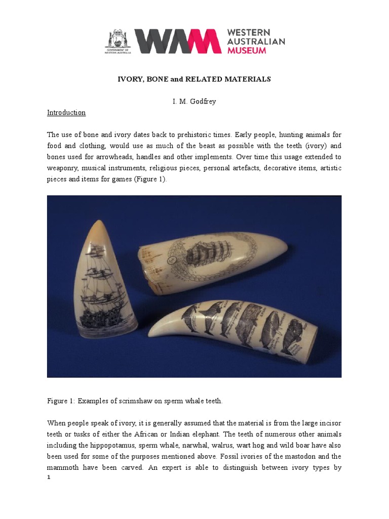 Conservation and Repair - Ivory - WA Mueum - August 2020 | PDF ...