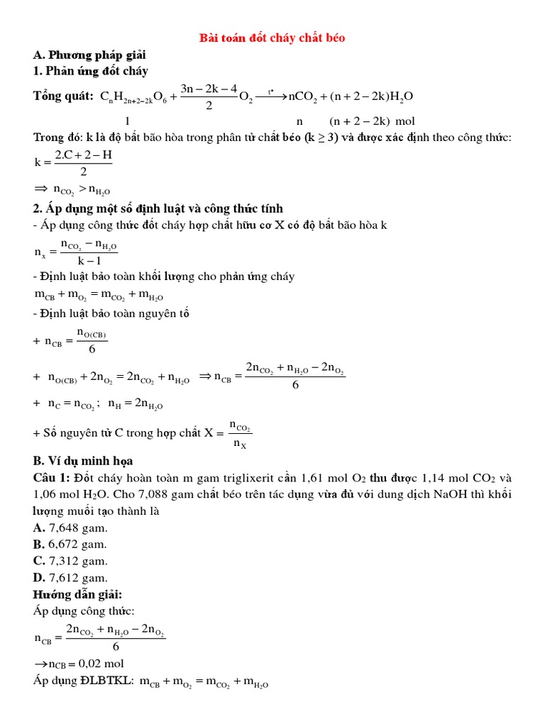Cac Dang Bai Toan Dot Chay Chat Beo Va Cach Giai Hoa Hoc Lop 12 | PDF