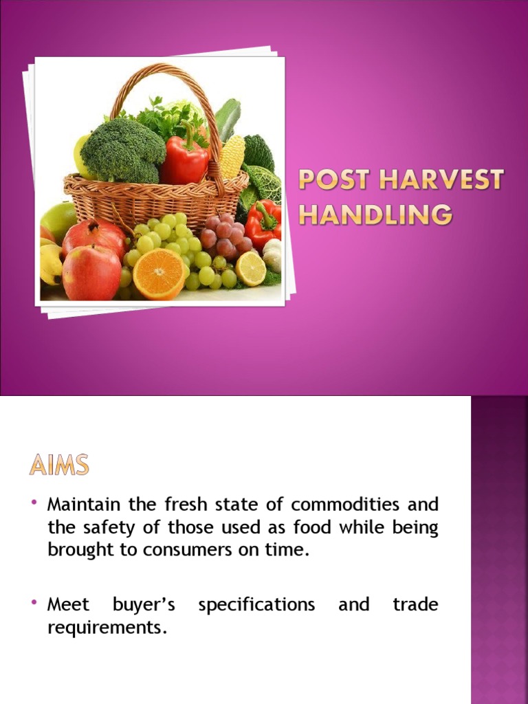 FTECH 4422 - 001 Post-Harvest Handling | PDF | Postharvest | Food And Drink