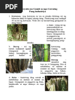 Pangunahing Uri NG Tahi o Stitches | PDF