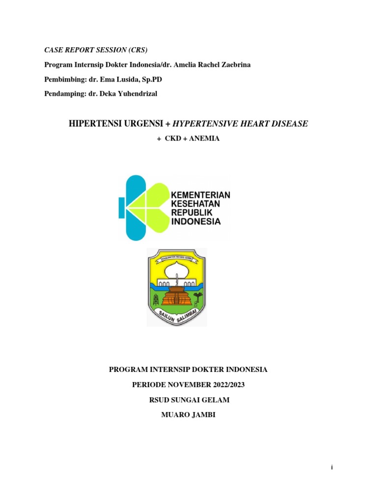 Laporan Kasus Amelia Rachel Rsud Sungai Gelam Fix | PDF