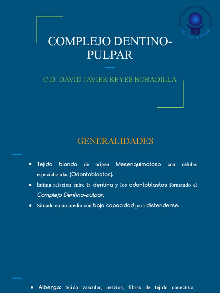 Complejo Dentino-Pulpar | PDF | Morfología (biología) | Tejido (biología)