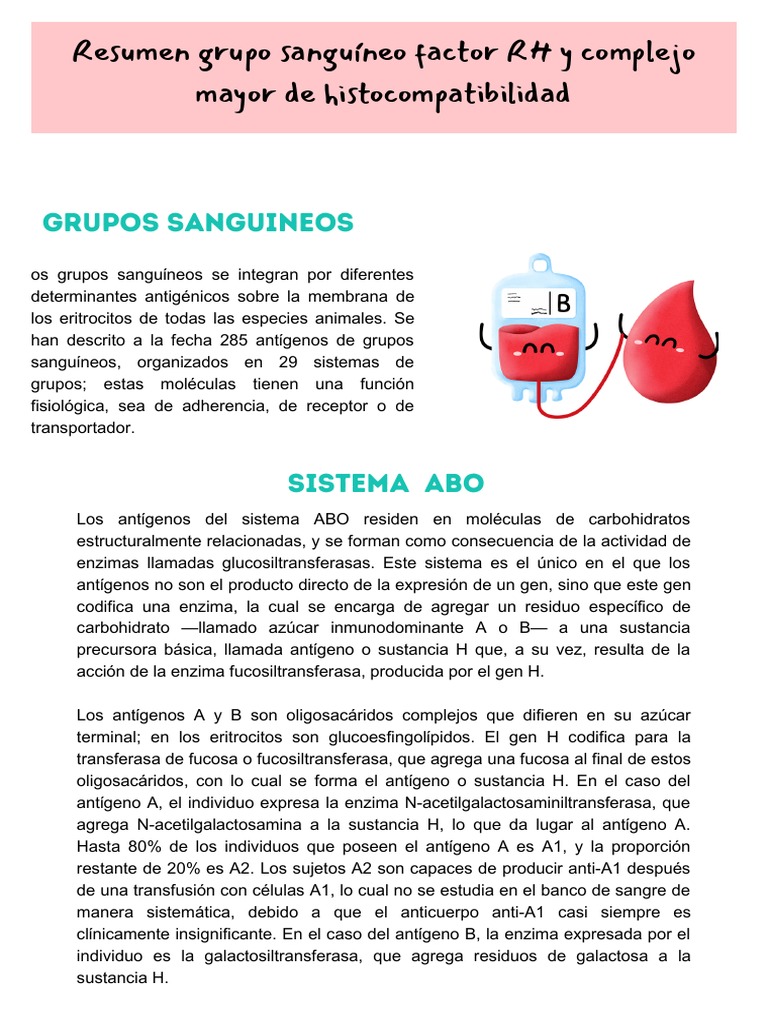 Resumen grupo sanguíneo factor RH y complejo mayor de ...