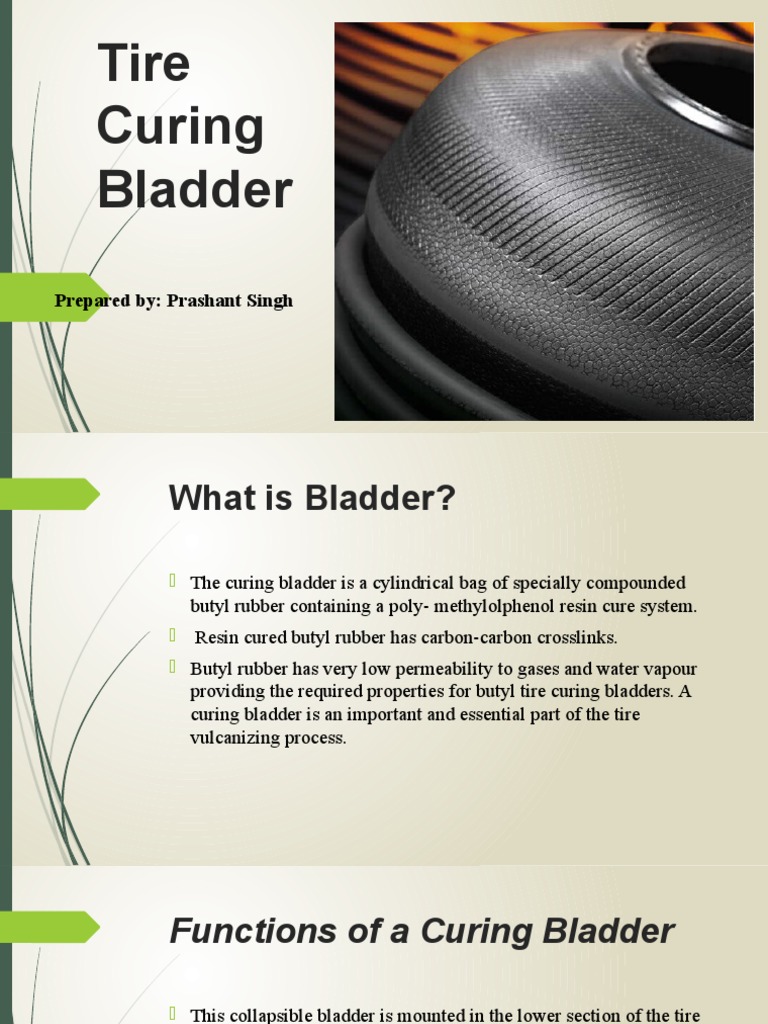Bladder | PDF | Tire | Natural Rubber