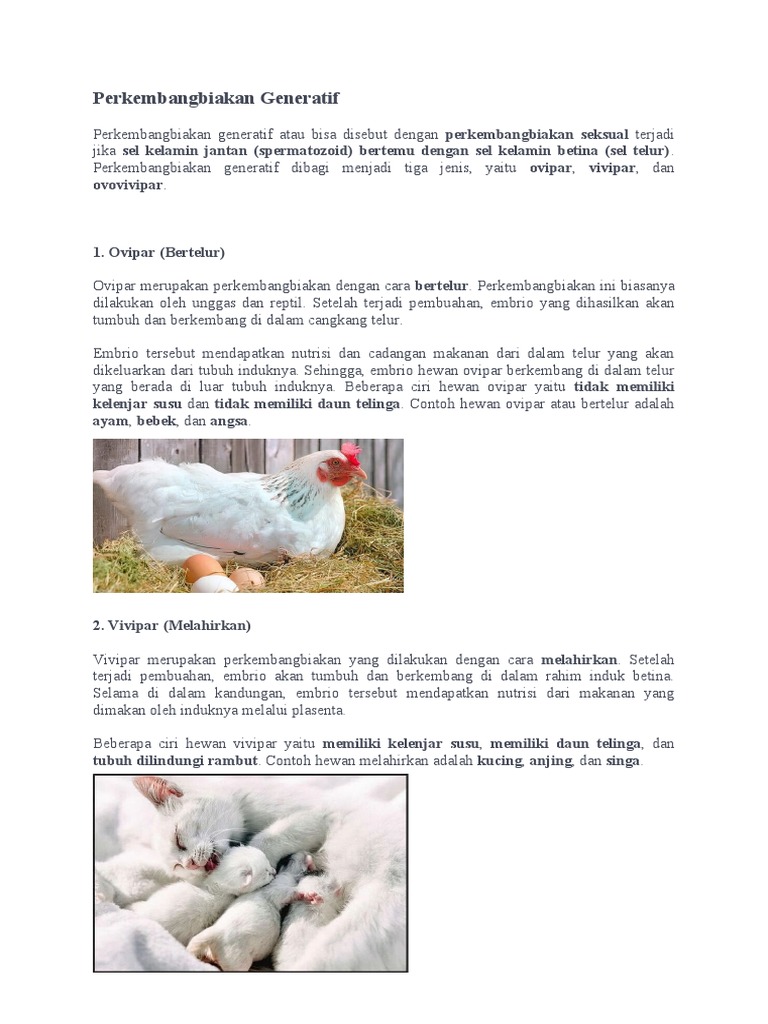 Perkembangbiakan Generatif | PDF