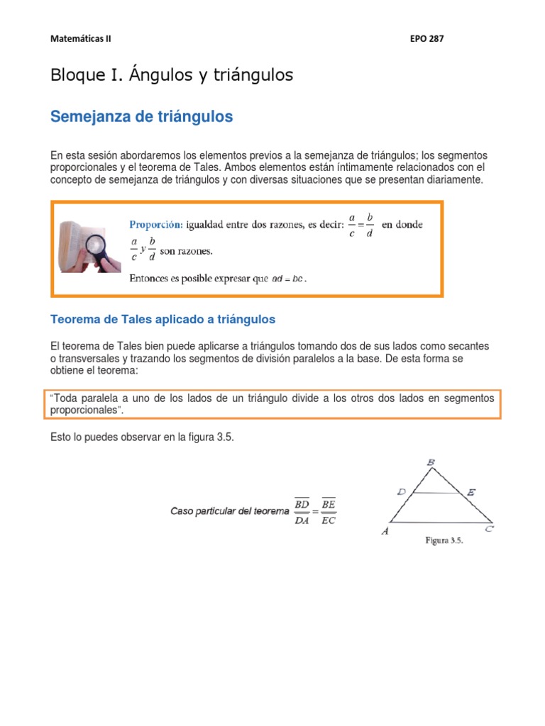 Semejanza de Triangulos | PDF | Triángulo | Geometria clasica