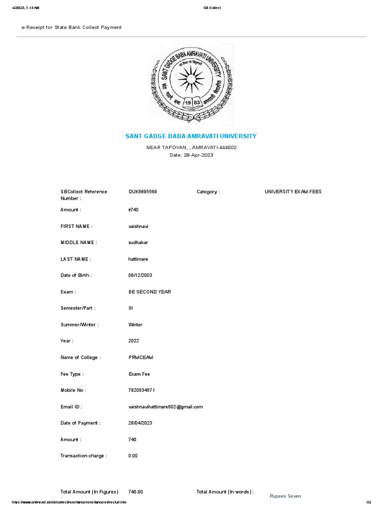 SB Collect | PDF | Payments | Service Industries