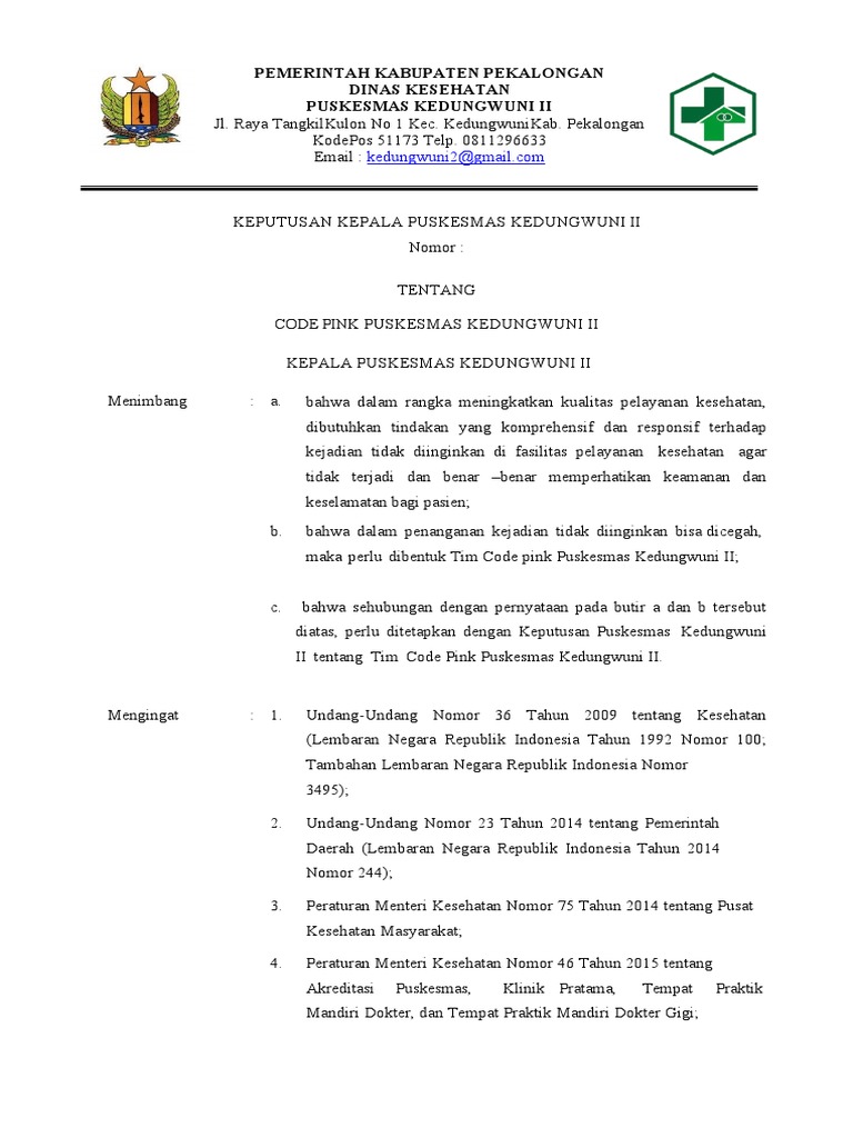 SK TIM Code Pink | PDF