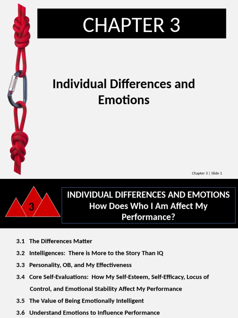 Individual Difference and Emotion | PDF | Self Esteem | Self Efficacy
