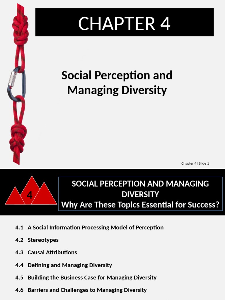 Social Perception And Managing Diversity Pdf Stereotypes Perception