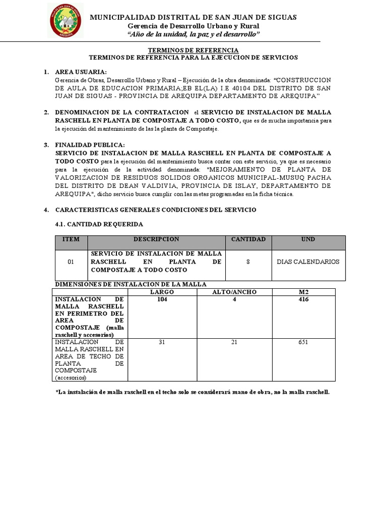 Formato de TDR Servicios | PDF