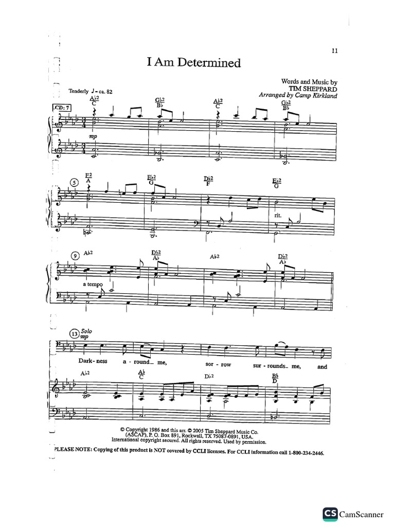 I Am Determined | PDF