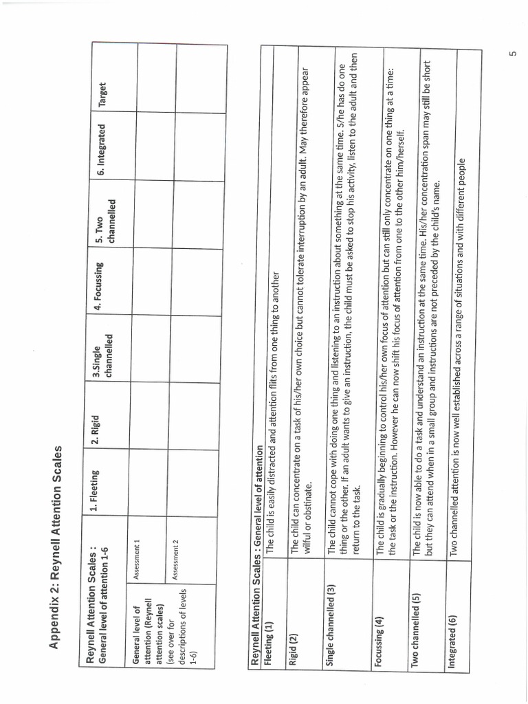 Reynell Attention Scale | PDF
