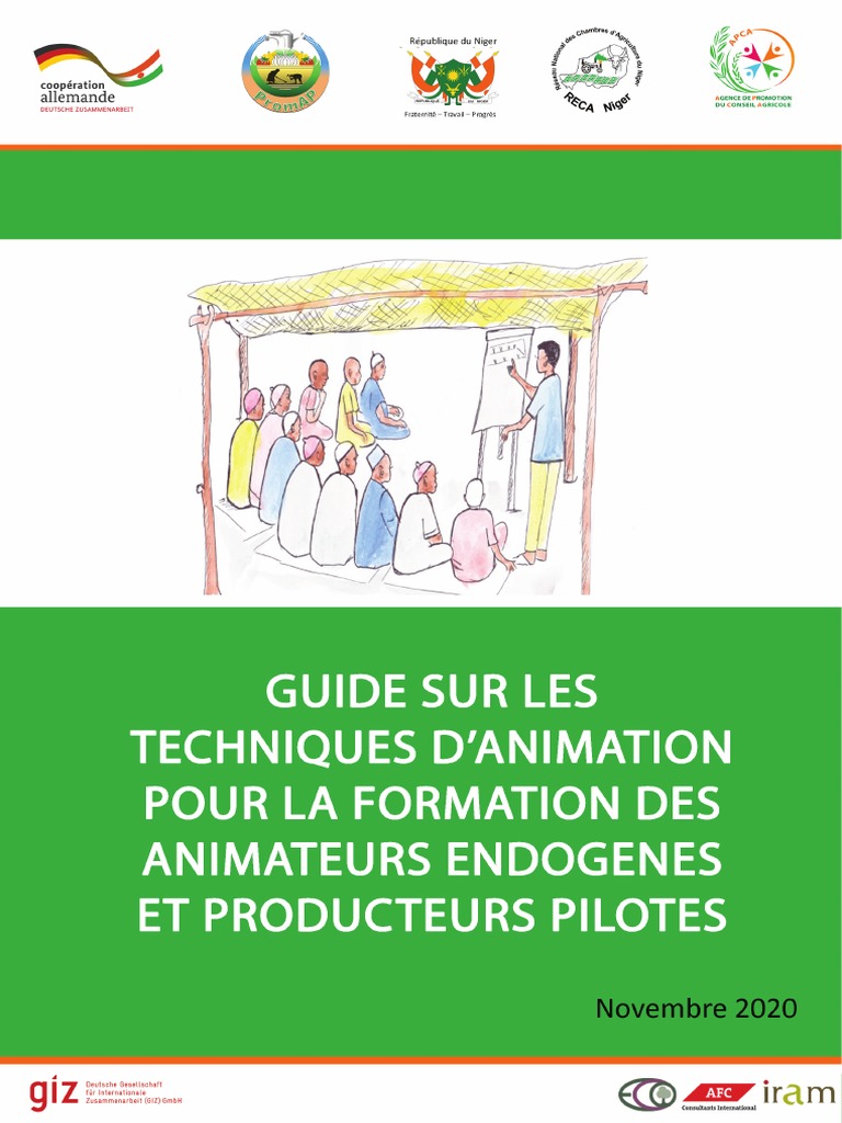 Guide Techniques D Animation | PDF | Animation | Anxiété