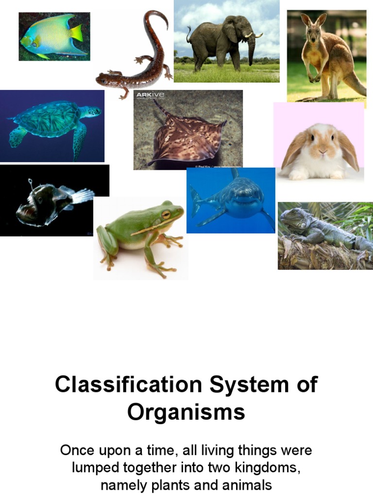 Classification | PDF | Biology | Taxa