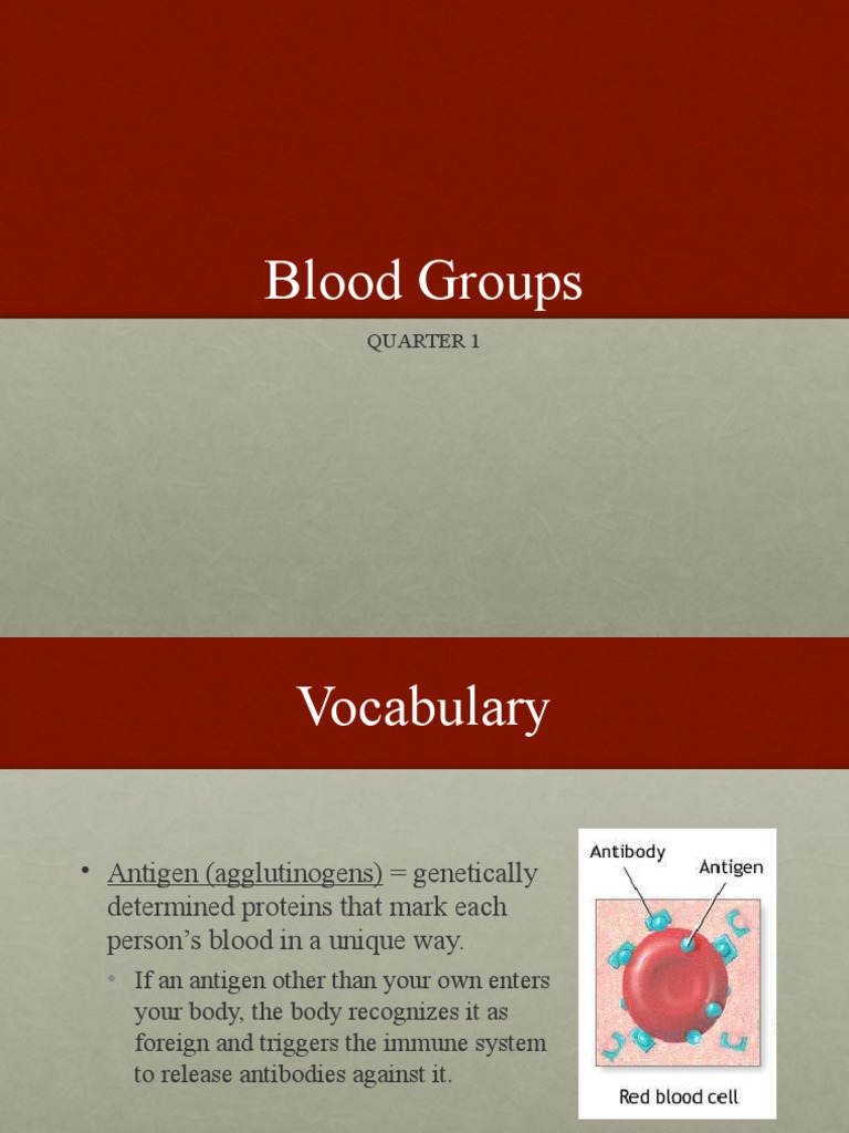 Human Blood Groups | PDF | Blood Type | Clinical Pathology