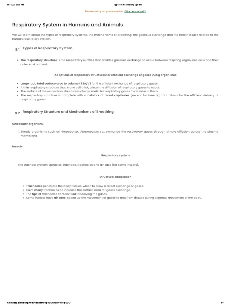 Human and Animal Respiratory Systems | PDF | Respiratory System | Lung