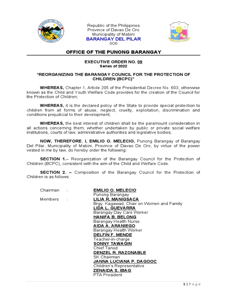 BCPC Reorganization Executive Order | PDF | Government | Social ...