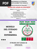 Erio-Equipo de Respuesta Inmediata Obstetrica | PDF | Reproducción ...