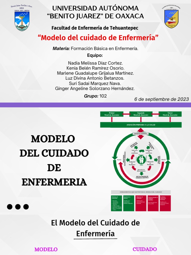 Modelo Del Cuidado De Enfermeria Equipo 6 Pdf Enfermería 1196