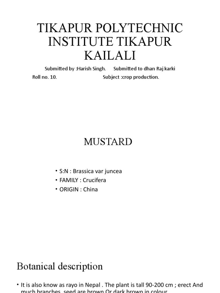 Tikapur Polytechnic Institute Tikapur Kailali | PDF | Sowing | Agriculture