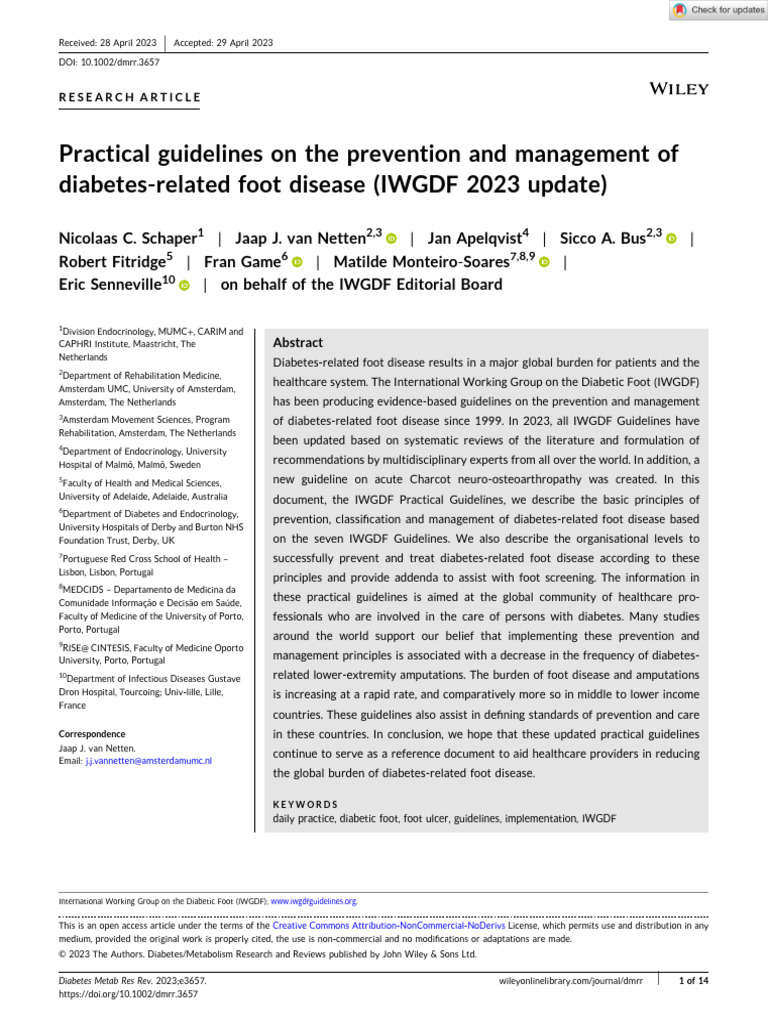 IWGDF 2023 Guidelines for Diabetic Foot | PDF | Foot | Peripheral ...