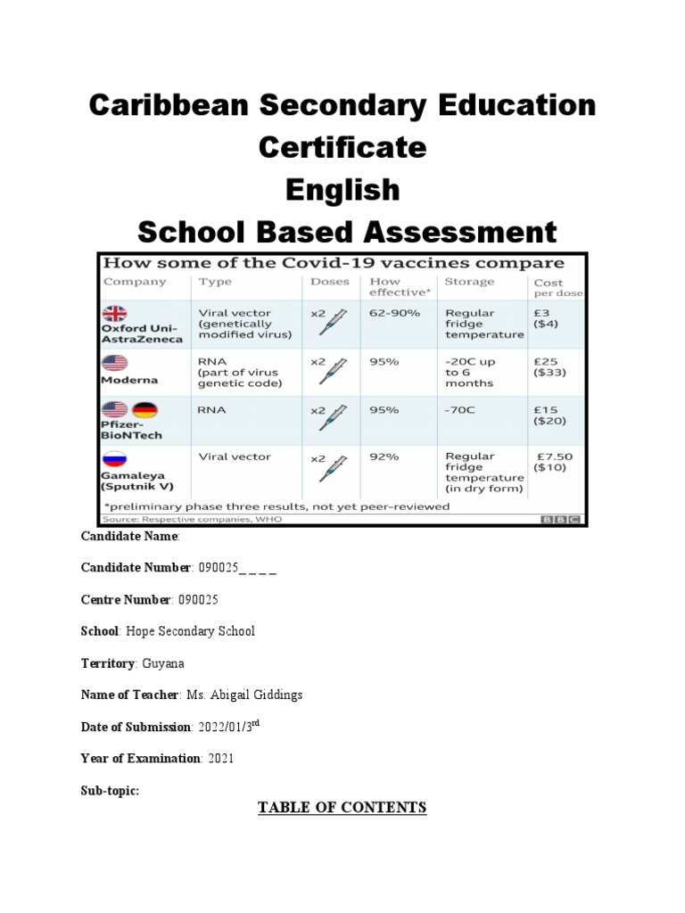 English SBA: Plan and Presentation Guide | PDF | Rubric (Academic ...